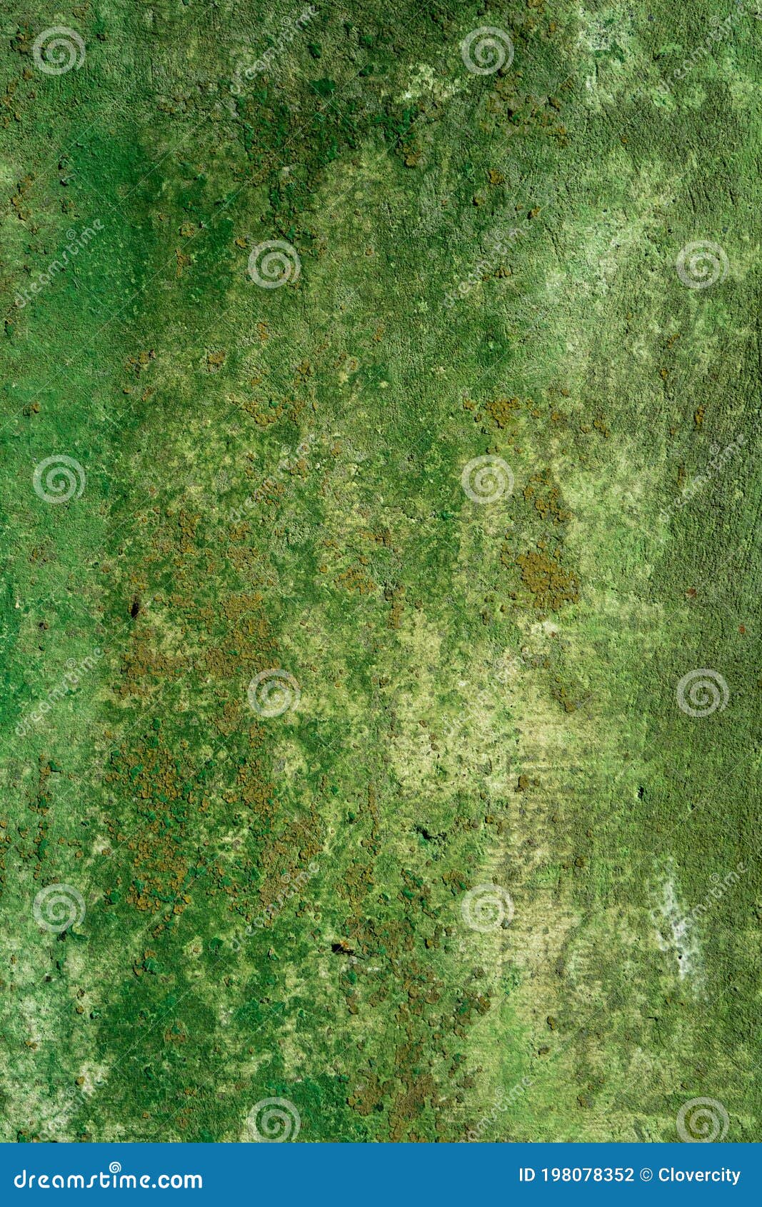 Green Mildew on Concrete Wall Stock Photo - Image of green, fort: 198078352