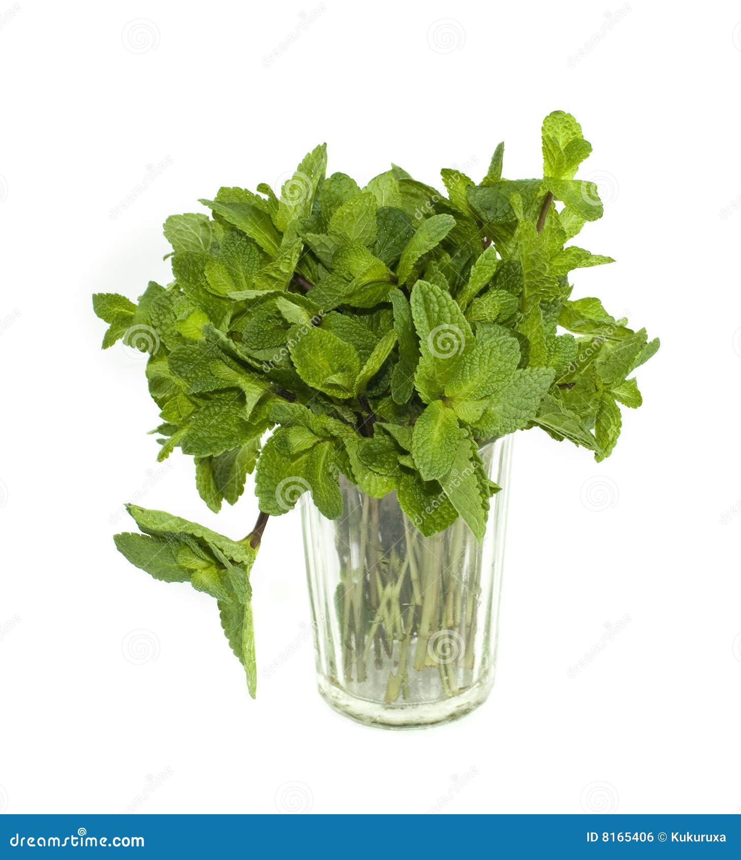 Green mint in glass stock photo. Image of cook, aroma - 8165406