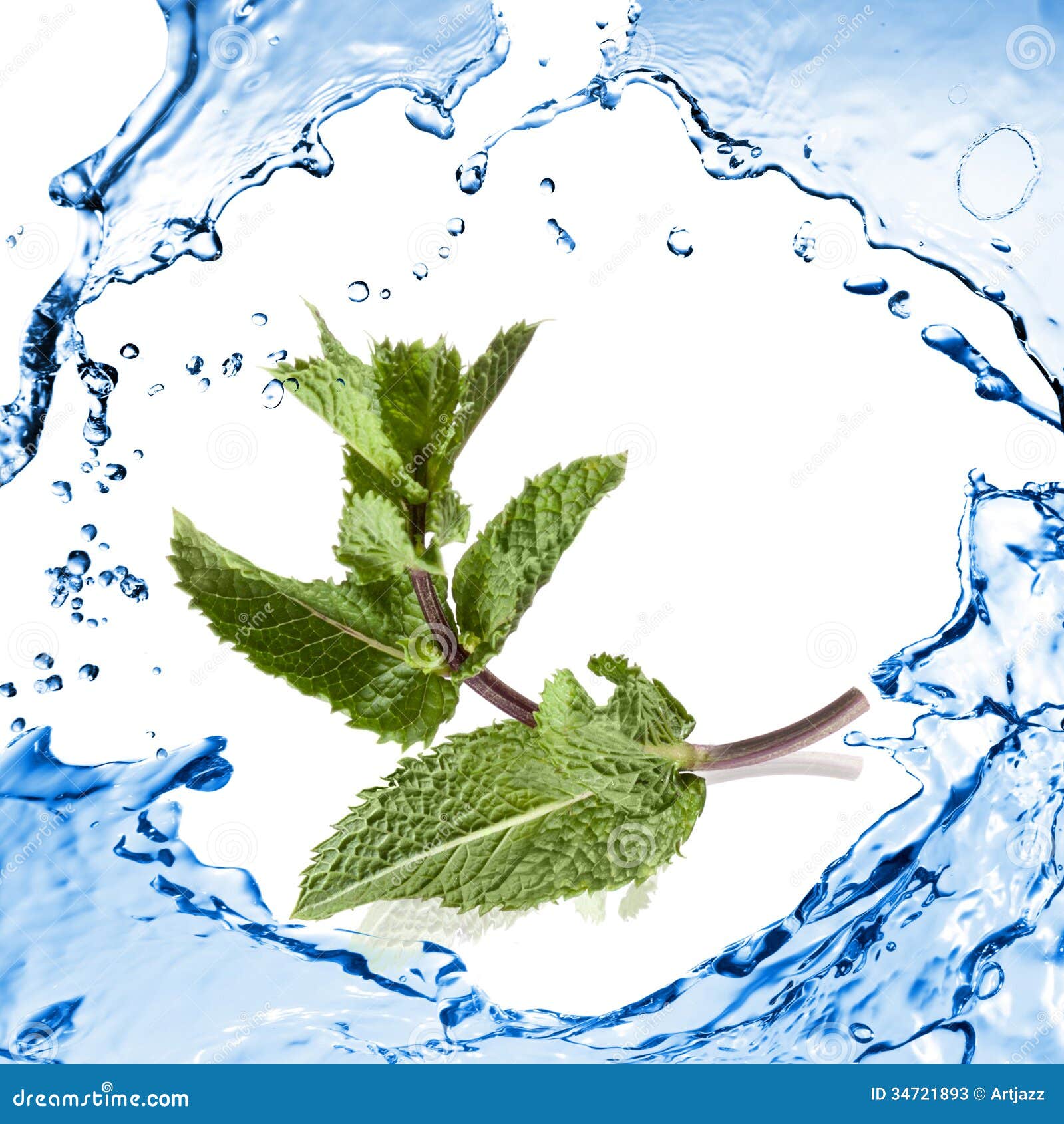 Green Mint with Water Splash Stock Image - Image of closeup, leaf: 34721893