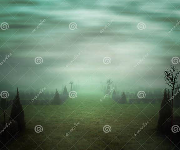 Green Misty Background stock image. Image of misty, glow - 28807923