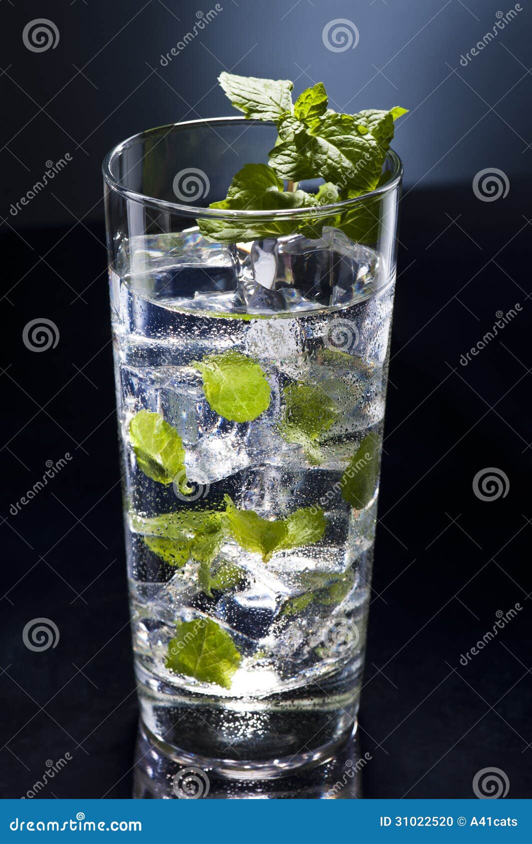 Green Mojito cocktail stock photo. Image of color, closeup - 31022520