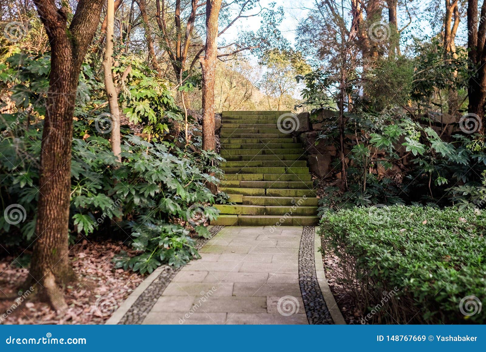 Green Molded Steps in a Chinese Park Stock Image - Image of spring ...