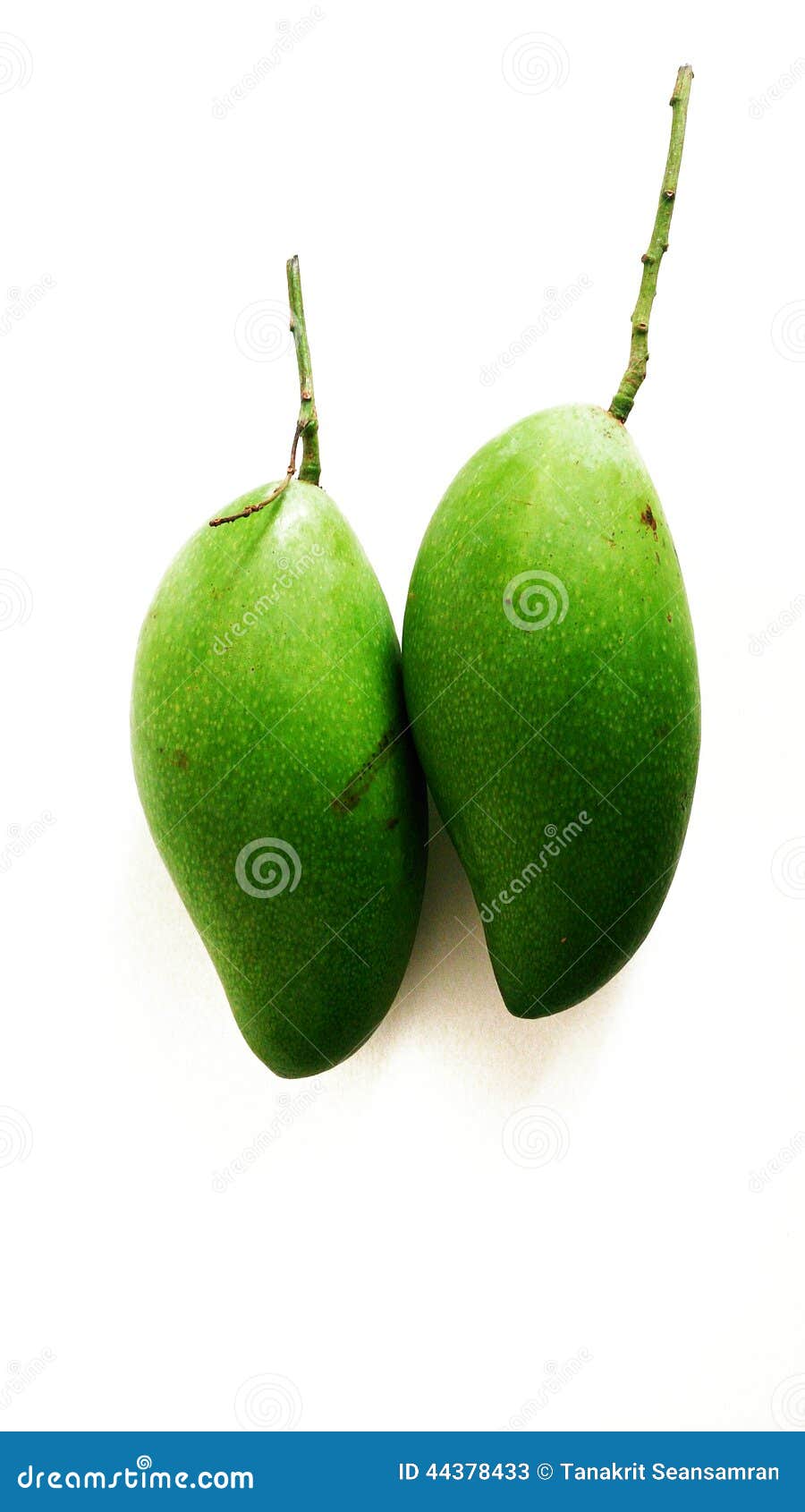Green mongo stock image. Image of green, sour, mongo - 44378433