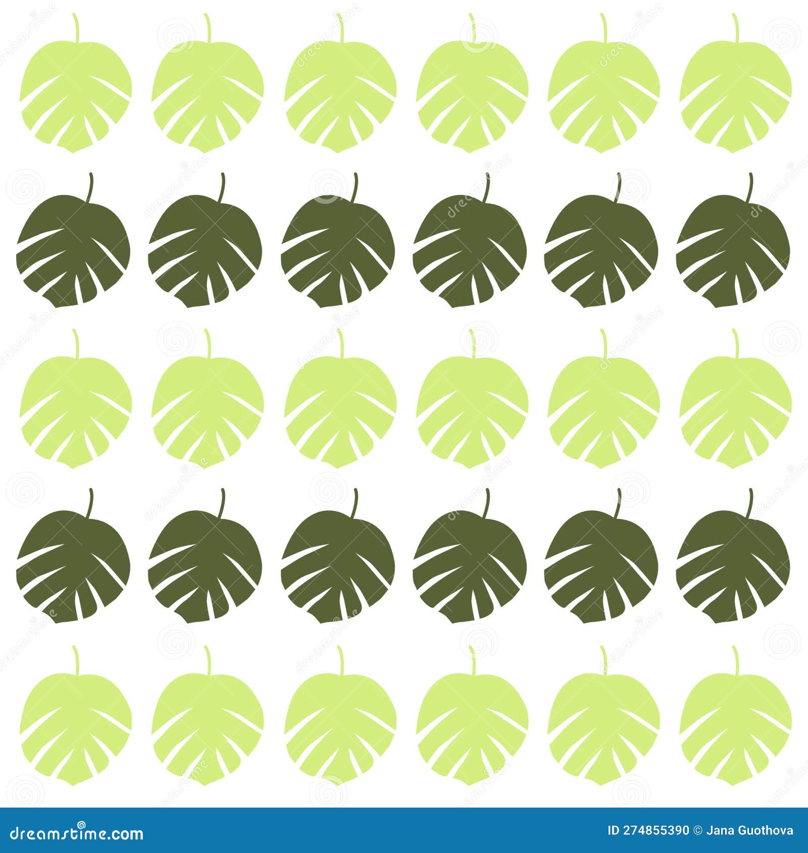 Green Monstera Leaves On White Pattern Texture Background Stock