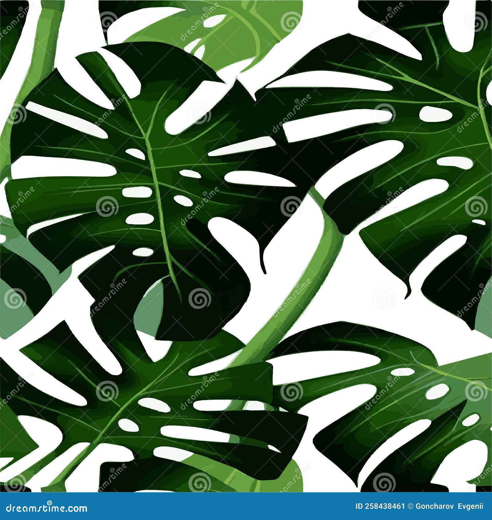 Green Monstera Pattern White Background. Exotic Pattern with Tropical Leaves. Vector ...