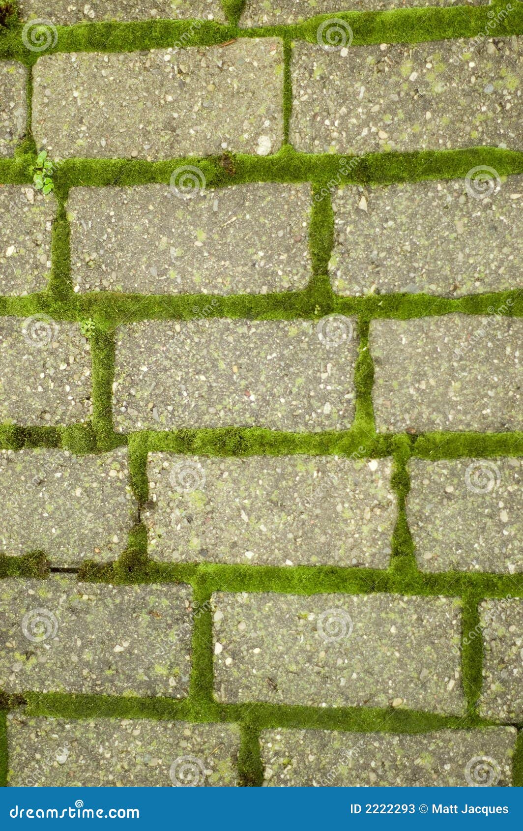 Green Moss on Brick Pathway Stock Image - Image of moss, direction: 2222293