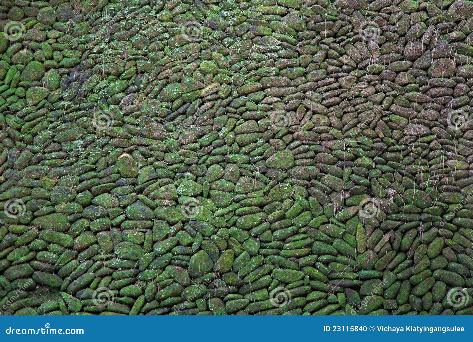 Green Moss Brick Wall stock photo. Image of block, pieces - 23115840