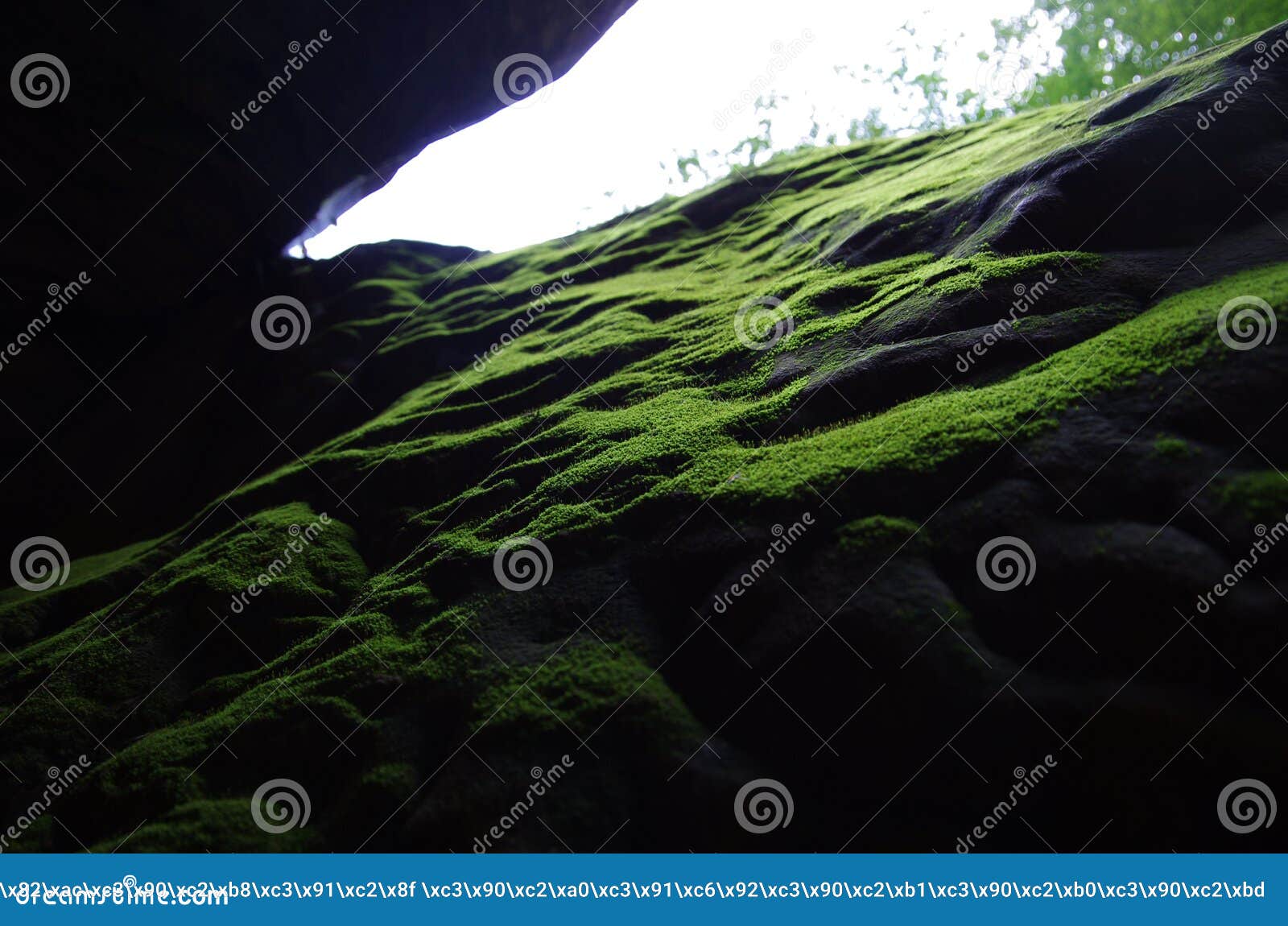 Green Moss on the Cave Wall Stock Image - Image of green, moss: 166526787