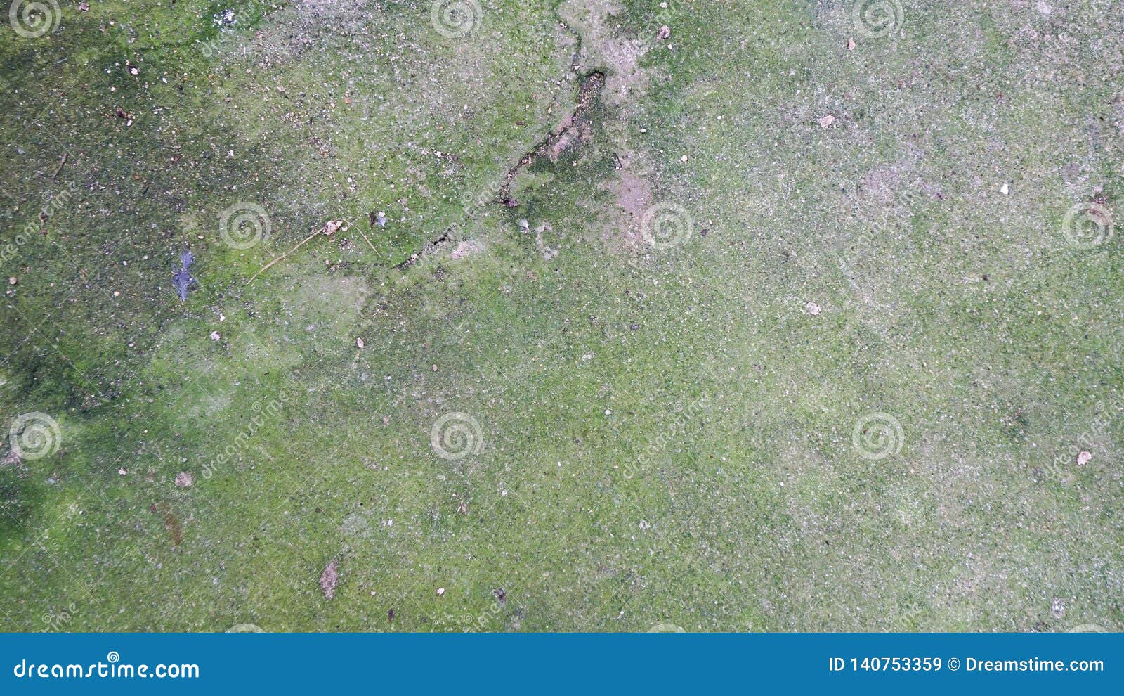 The Green Moss on the Cement Wall Stock Image - Image of green ...