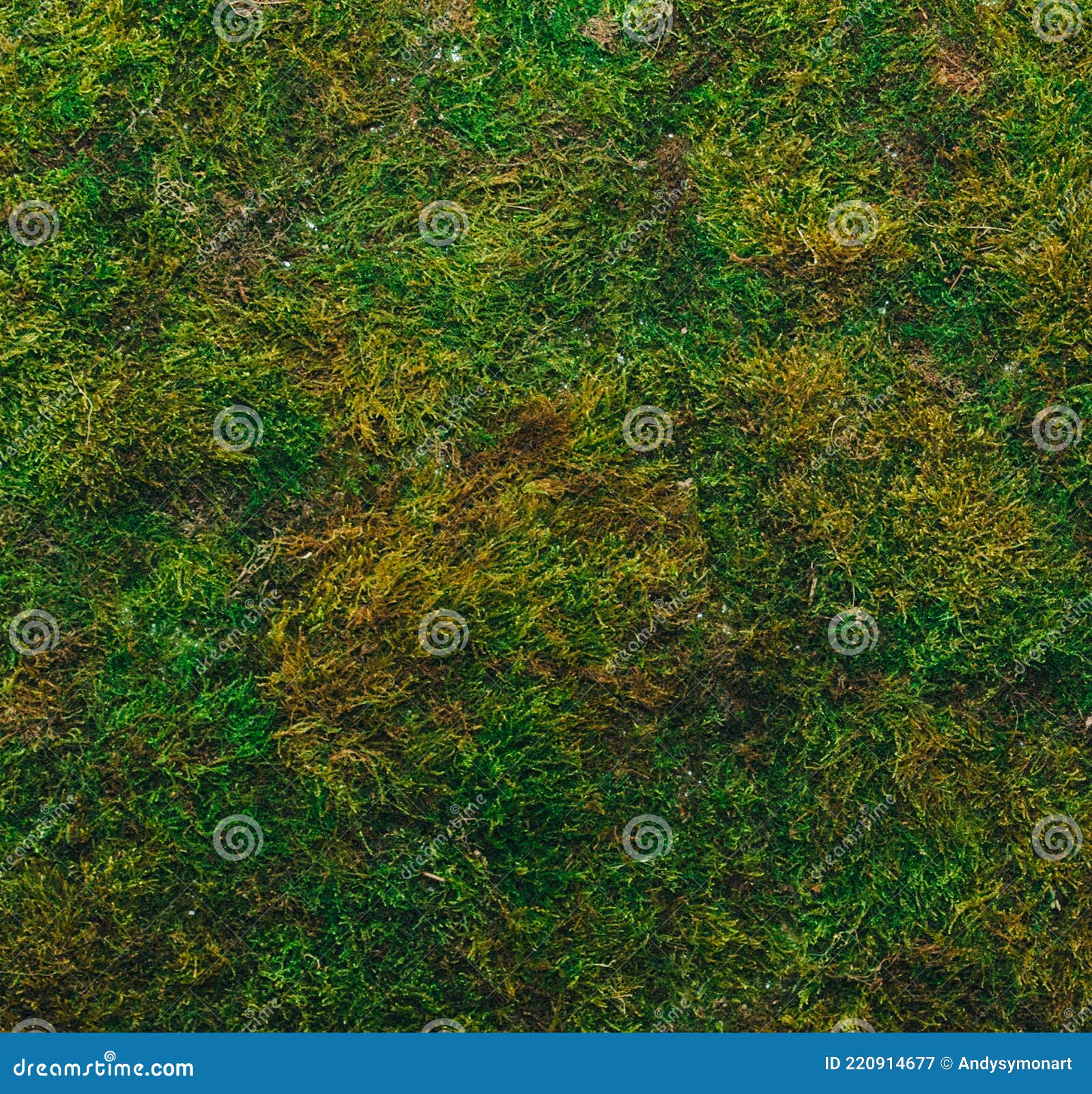 Green Moss Covered the Ground. Nature Background Concept Stock Image ...