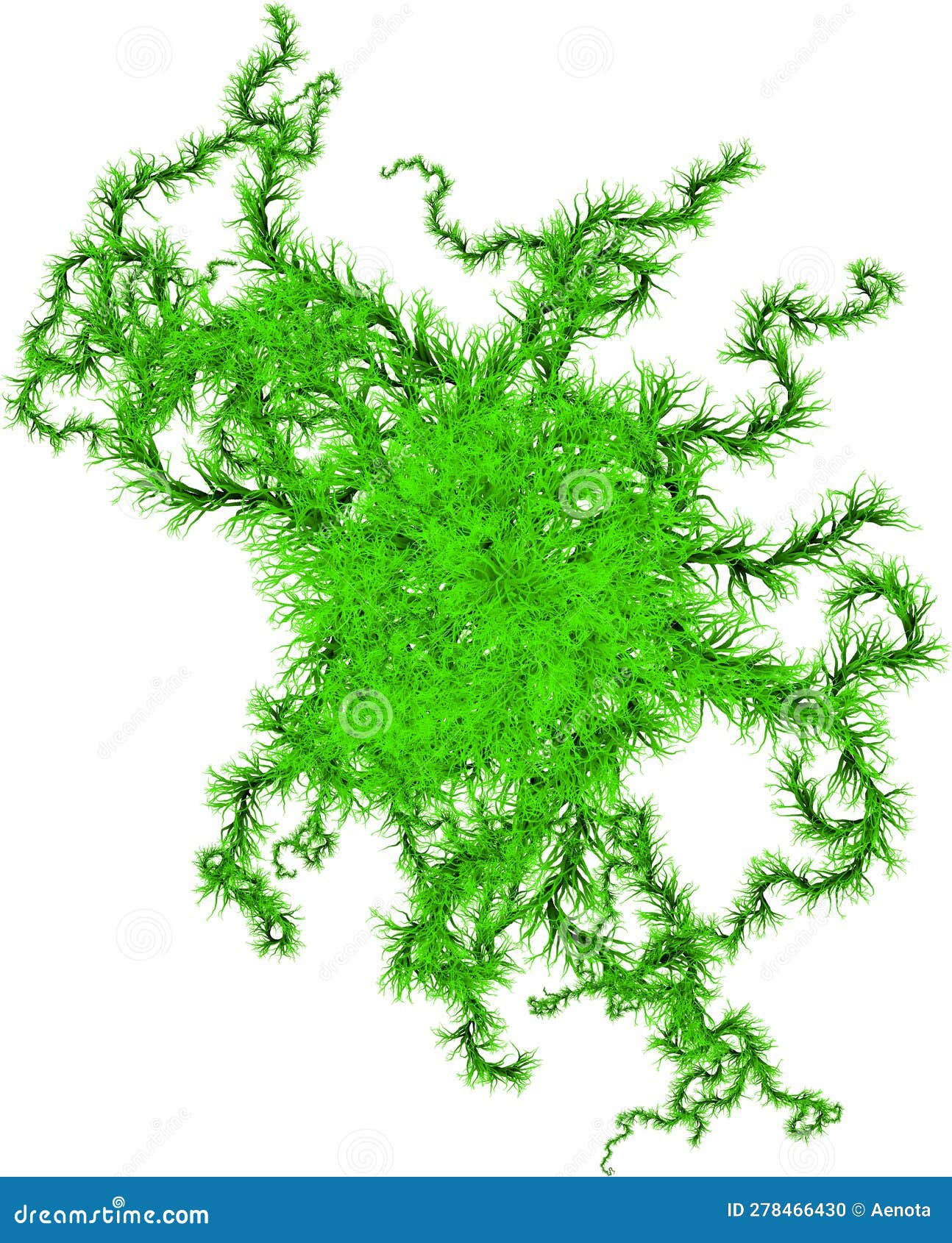 Green Moss Fiber Sprouts Filamentary Plexus Bundle Stock Illustration ...
