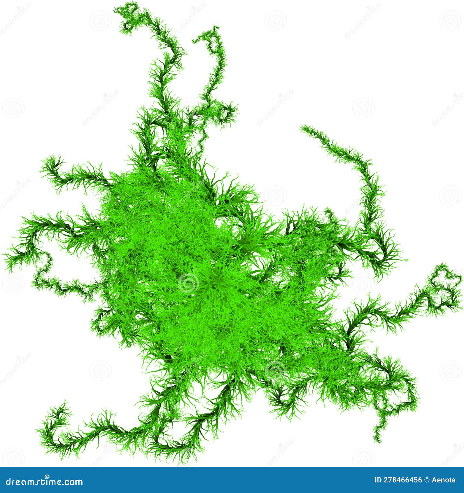 Green Moss Fiber Sprouts Filamentary Plexus Bundle Stock Illustration ...