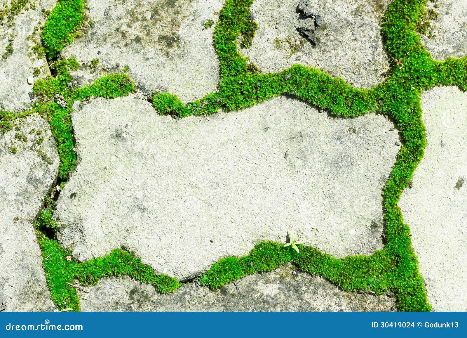 Green moss stock photo. Image of textured, block, green - 30419024