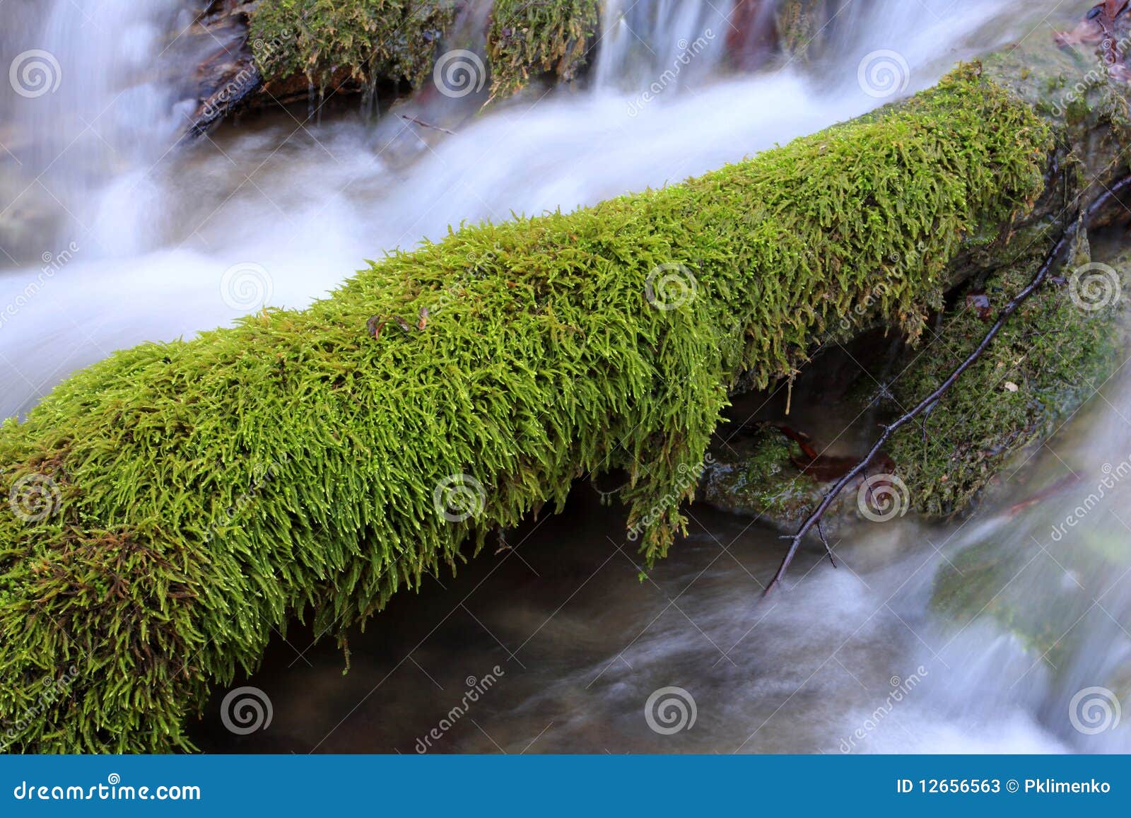 Green Moss in Mountain Stream Stock Image - Image of stream ...