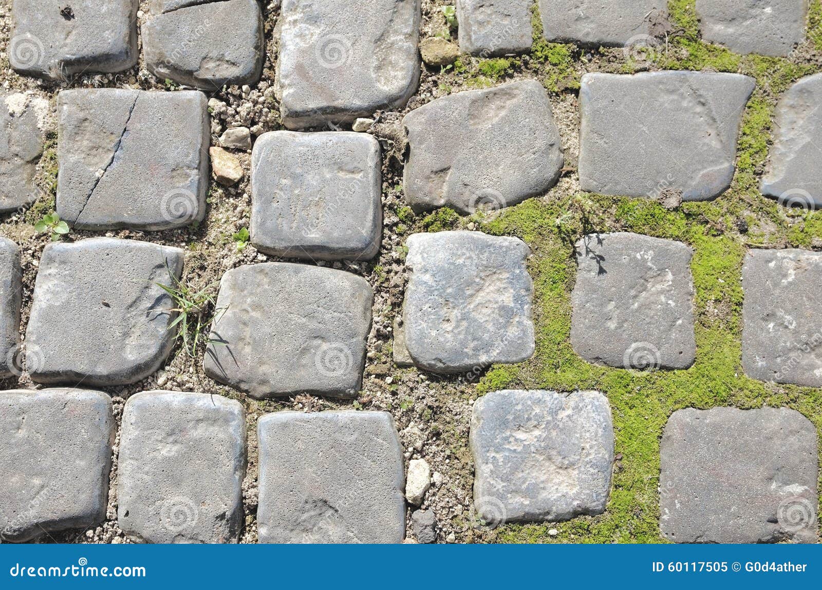 Green Moss on Old Stone Footpath Stock Image - Image of park, nature ...