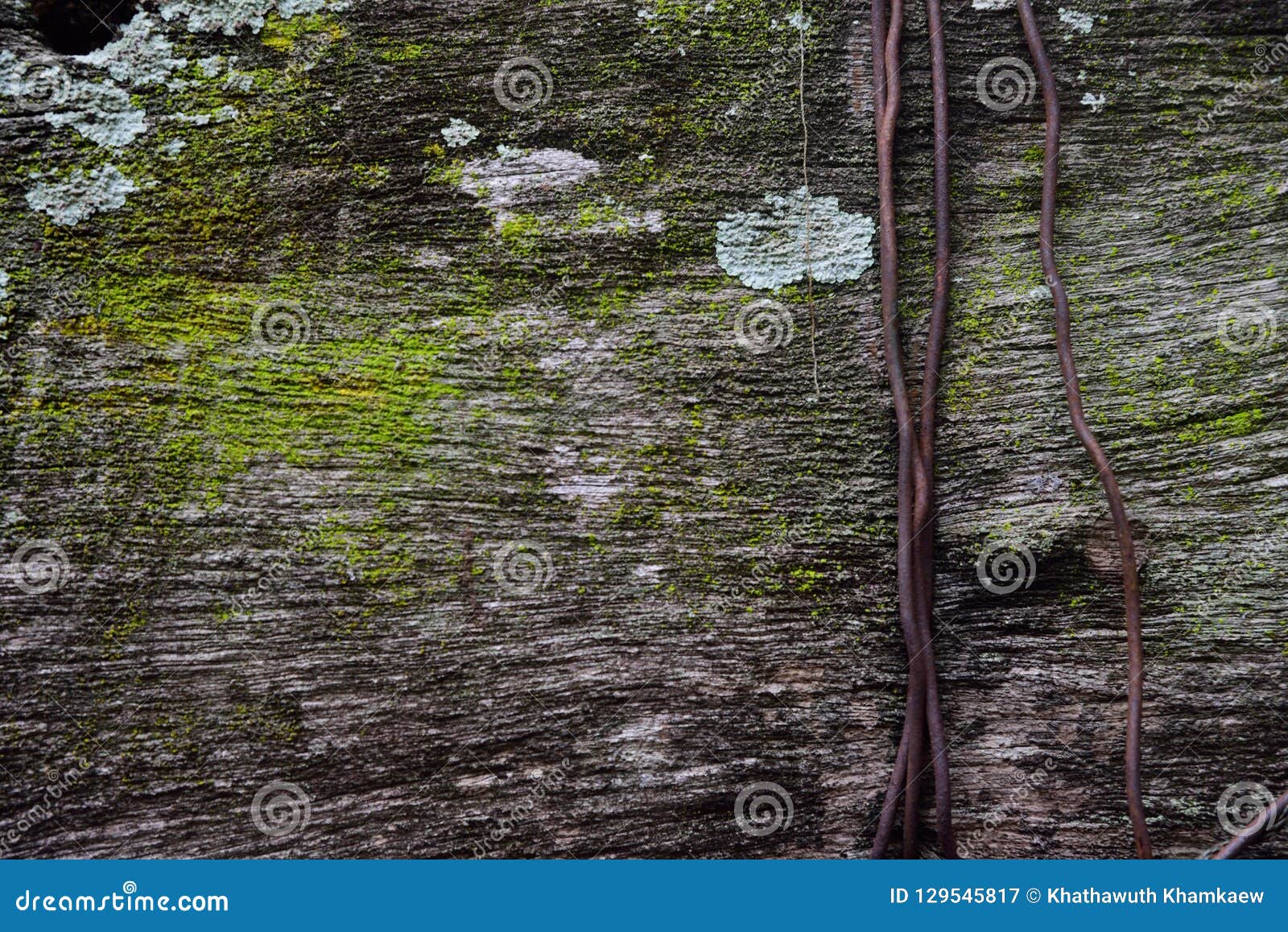 Texture and background stock image. Image of grid, enclose - 129545817