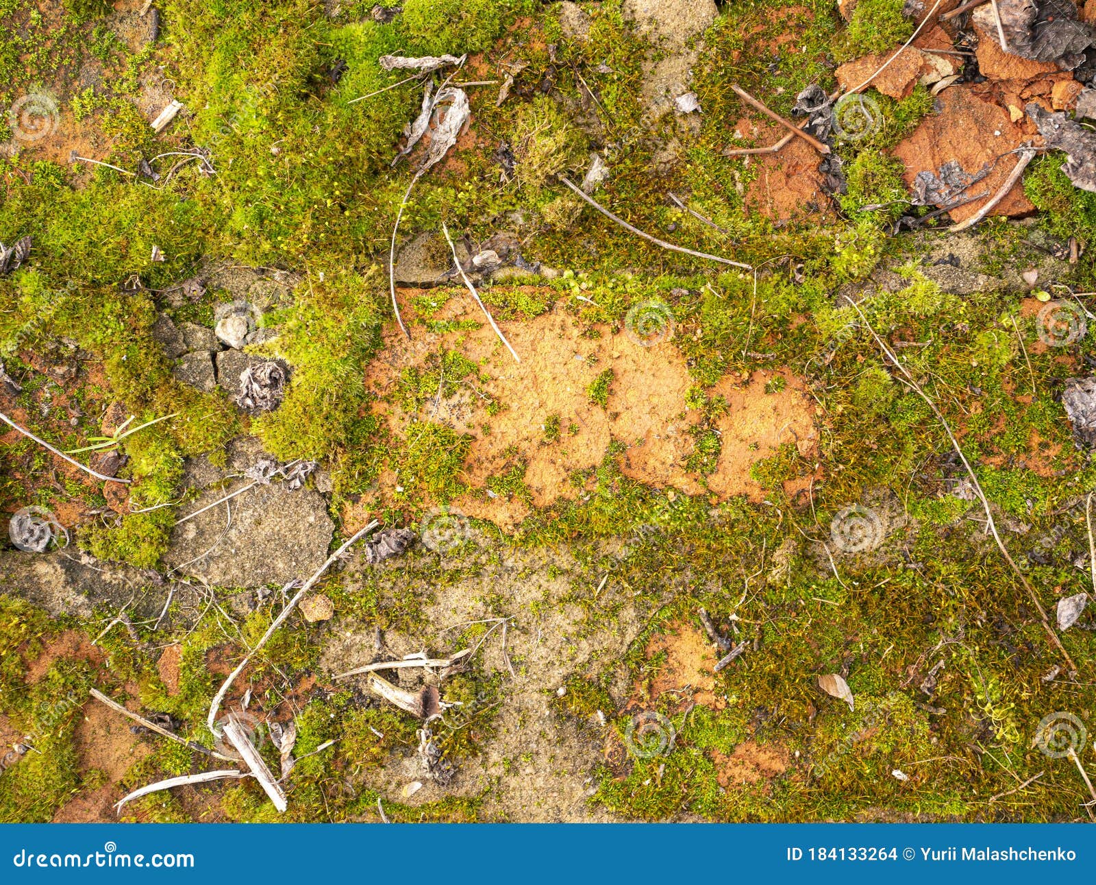 Moss Overgrown Stairs And Stone Royalty-Free Stock Photography ...