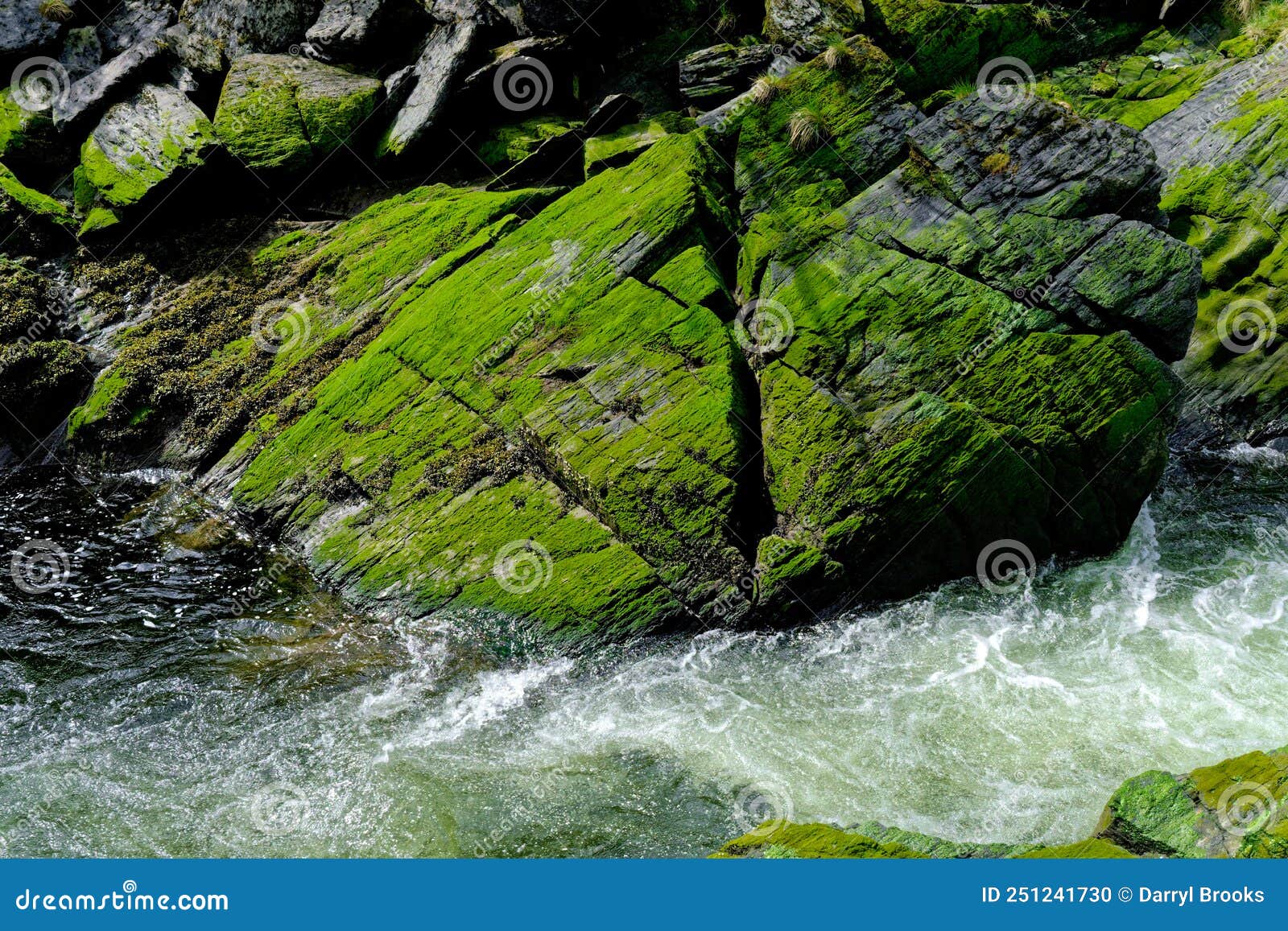 Green Moss on Rocks by Rapids Stock Photo - Image of alaska, beautiful ...