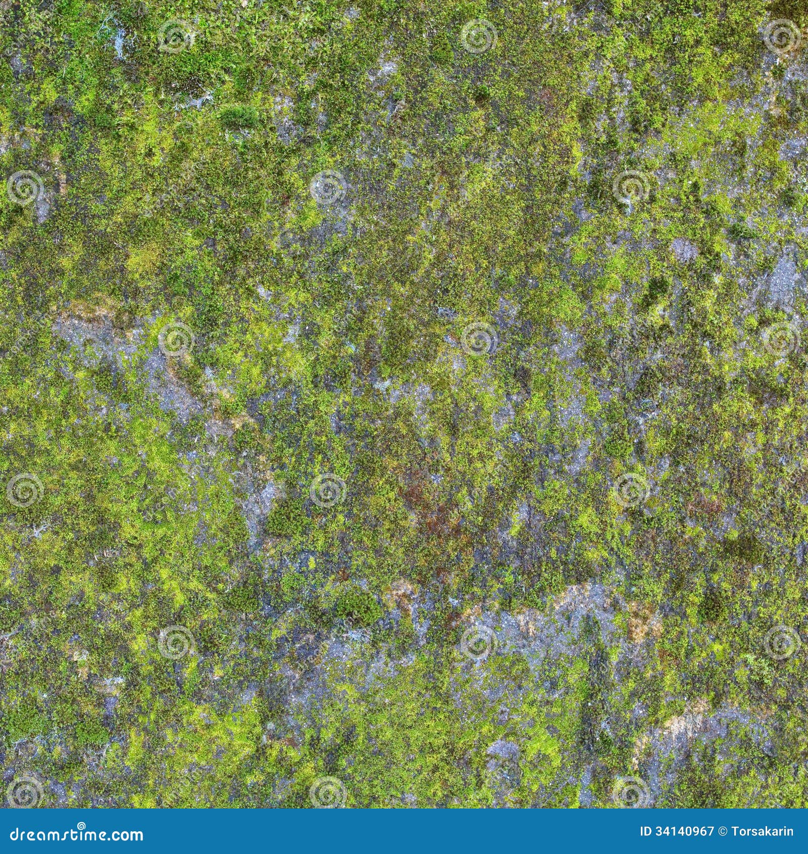 Green Moss stock image. Image of background, nature, ocean - 34140967