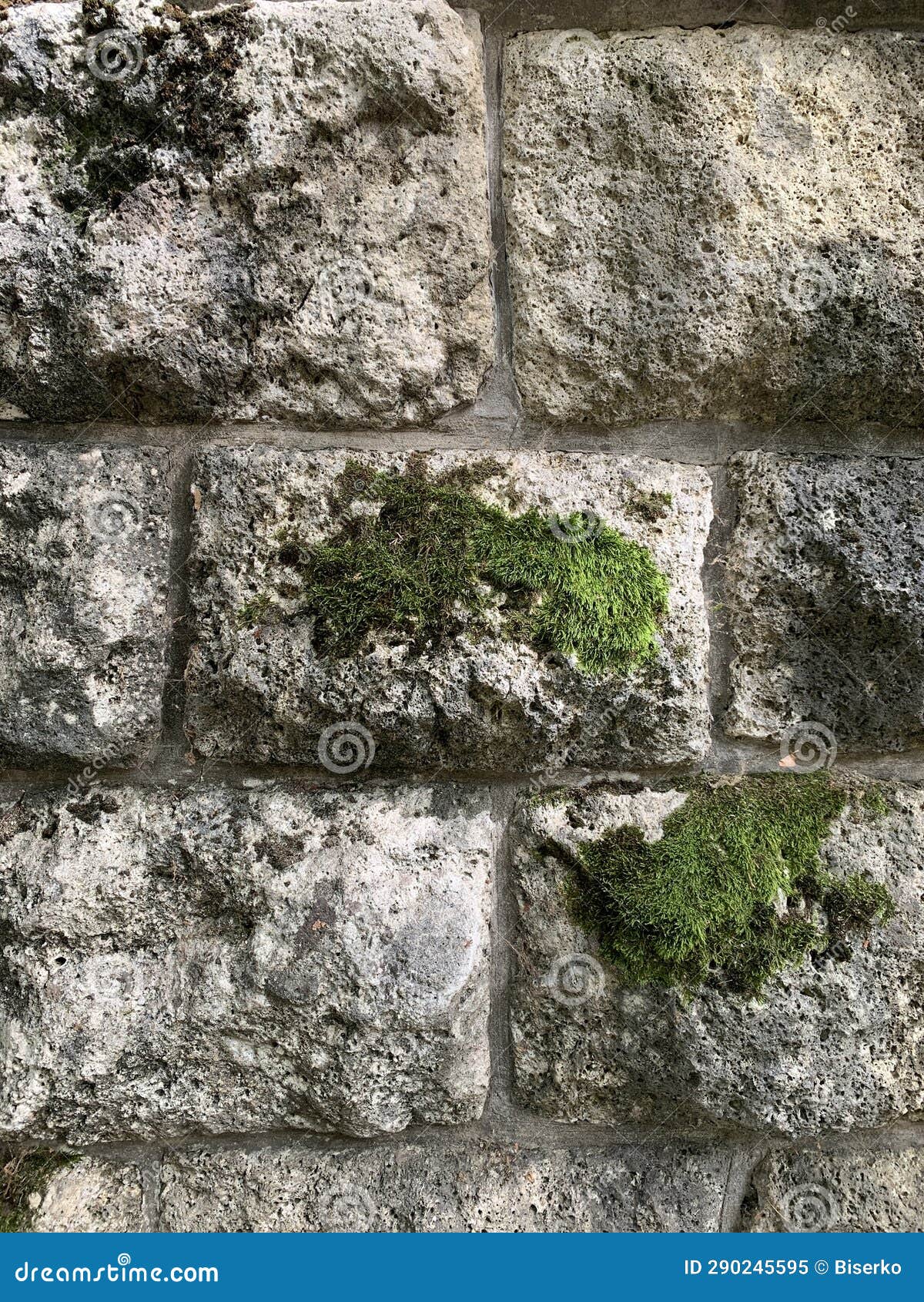 Green Moss on the Stone Blocks Stock Image - Image of direction ...