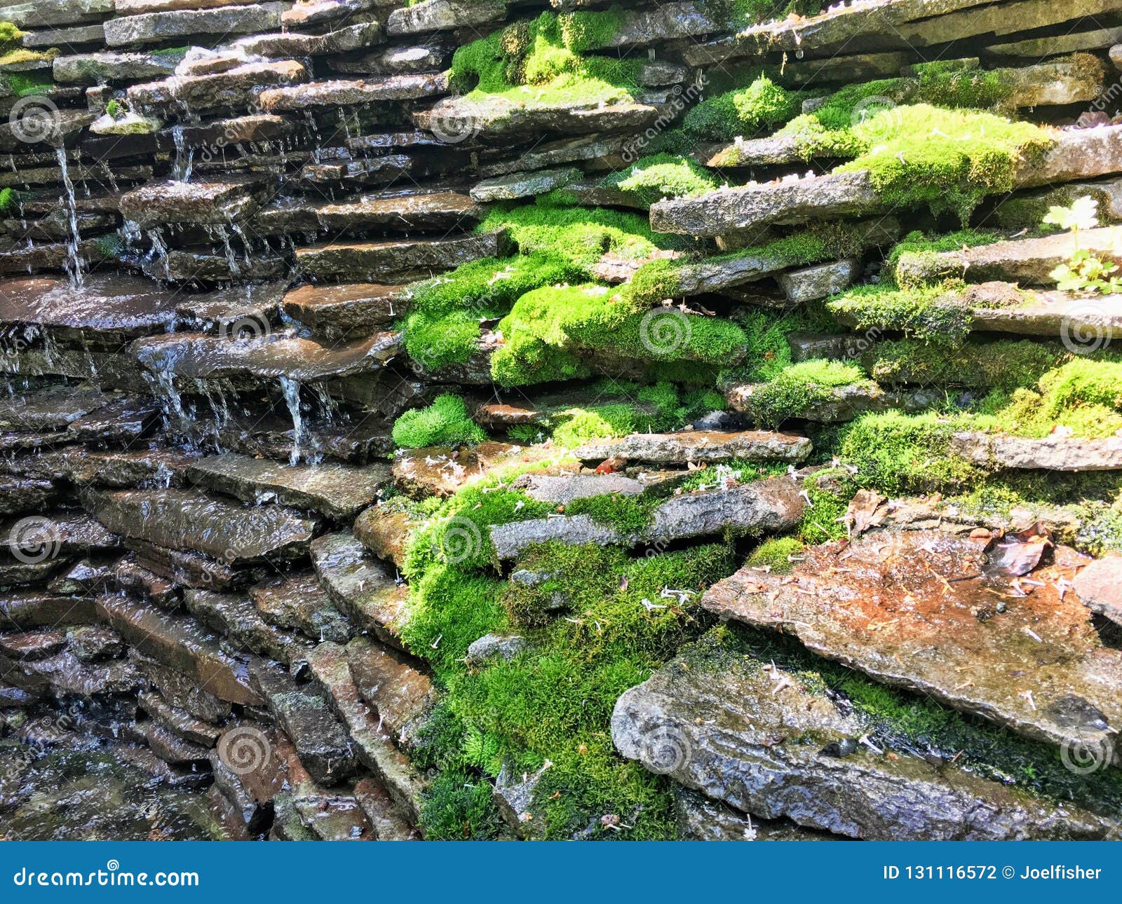 Green Moss on Stone Feature Stock Photo - Image of rock, fall: 131116572