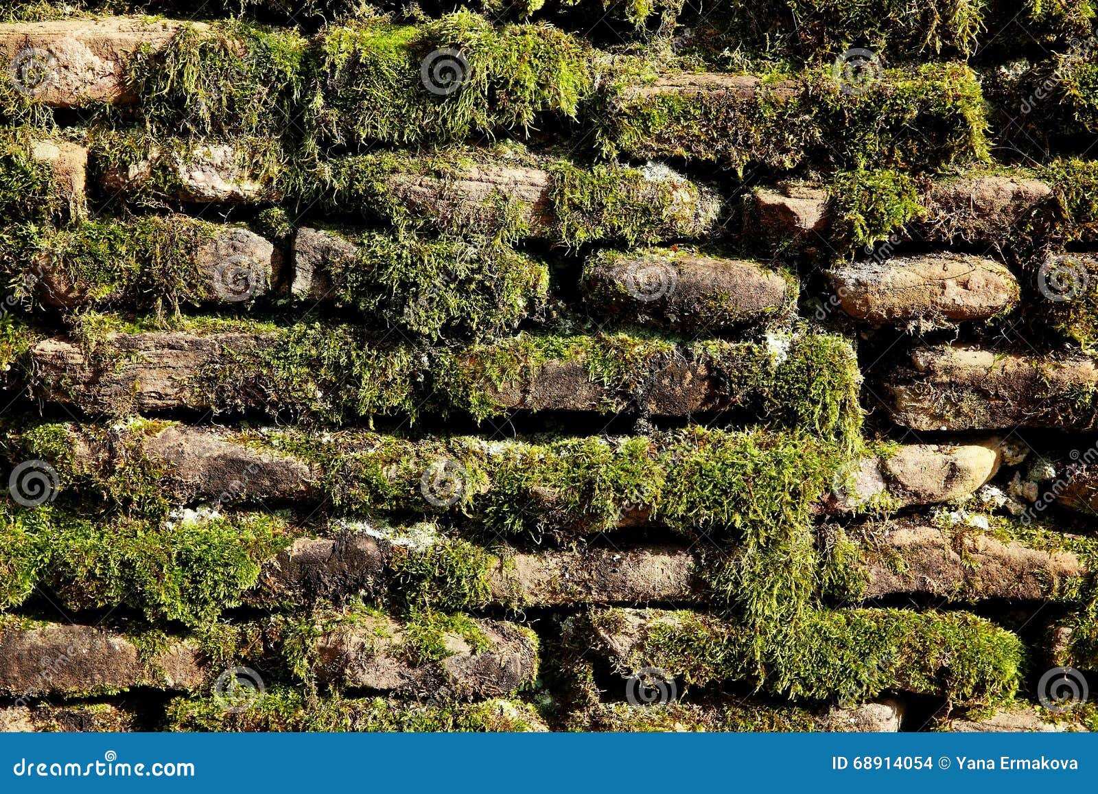 Green moss on stone wall stock photo. Image of fresh - 68914054