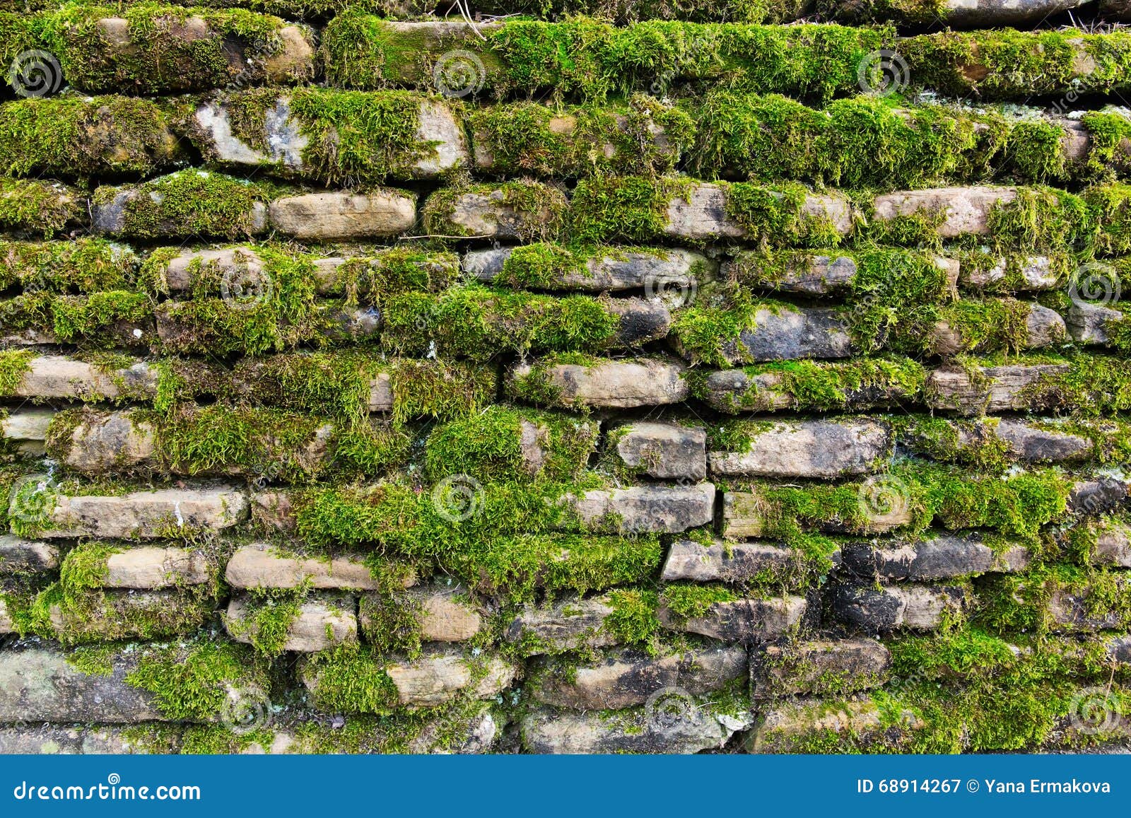 Green moss on stone wall stock image. Image of clay, garden - 68914267