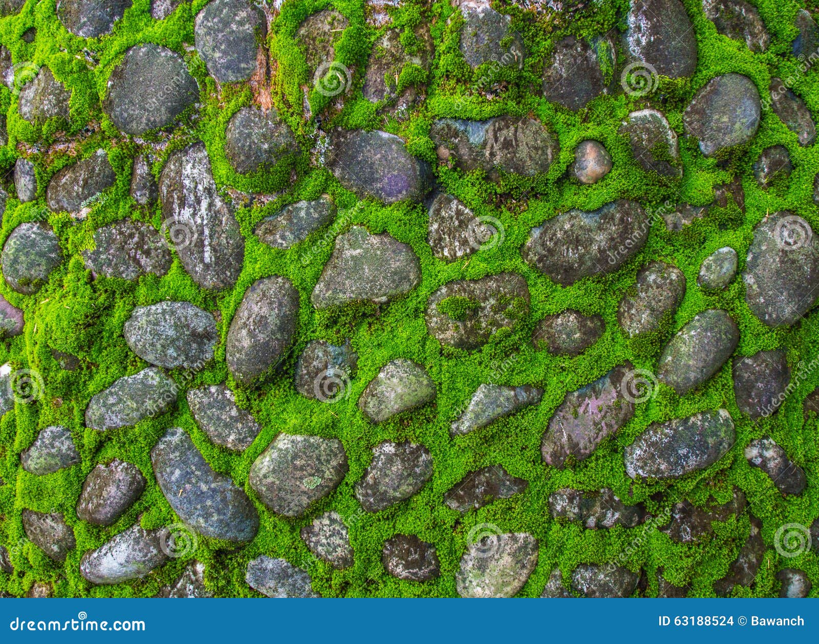 Green moss and stones stock photo. Image of colors, outdoors - 63188524