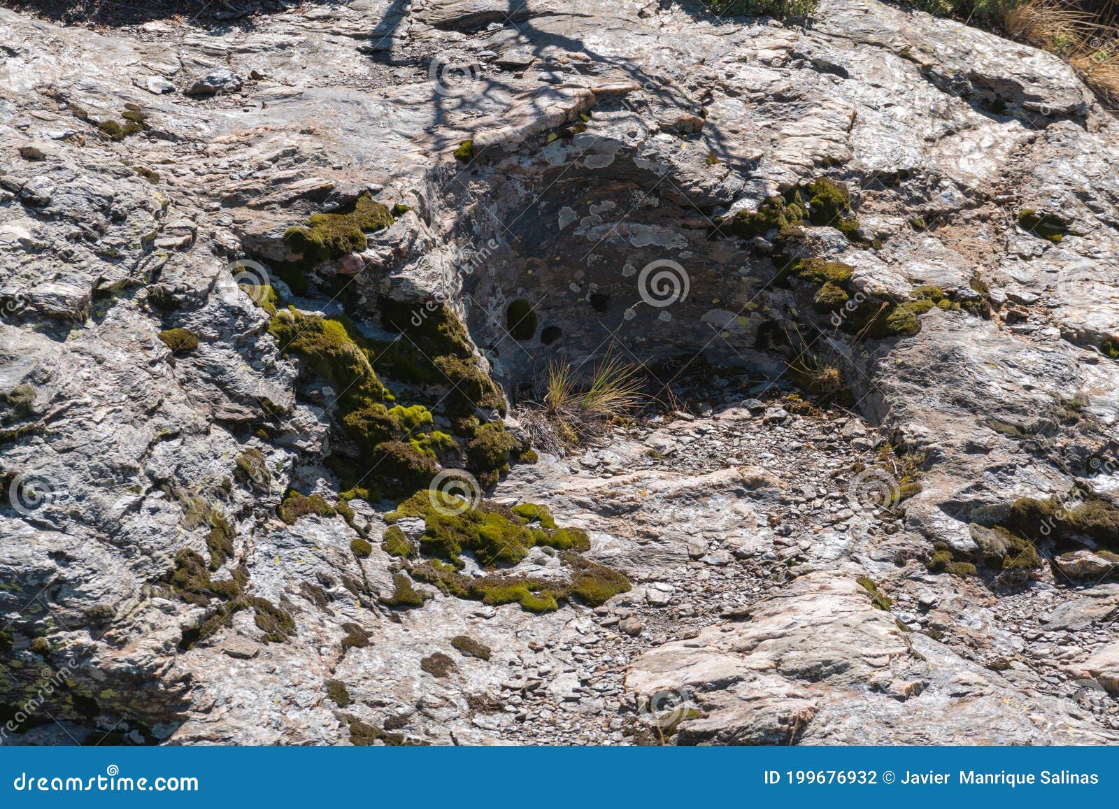 Green moss stuck on a rock stock photo. Image of grass - 199676932