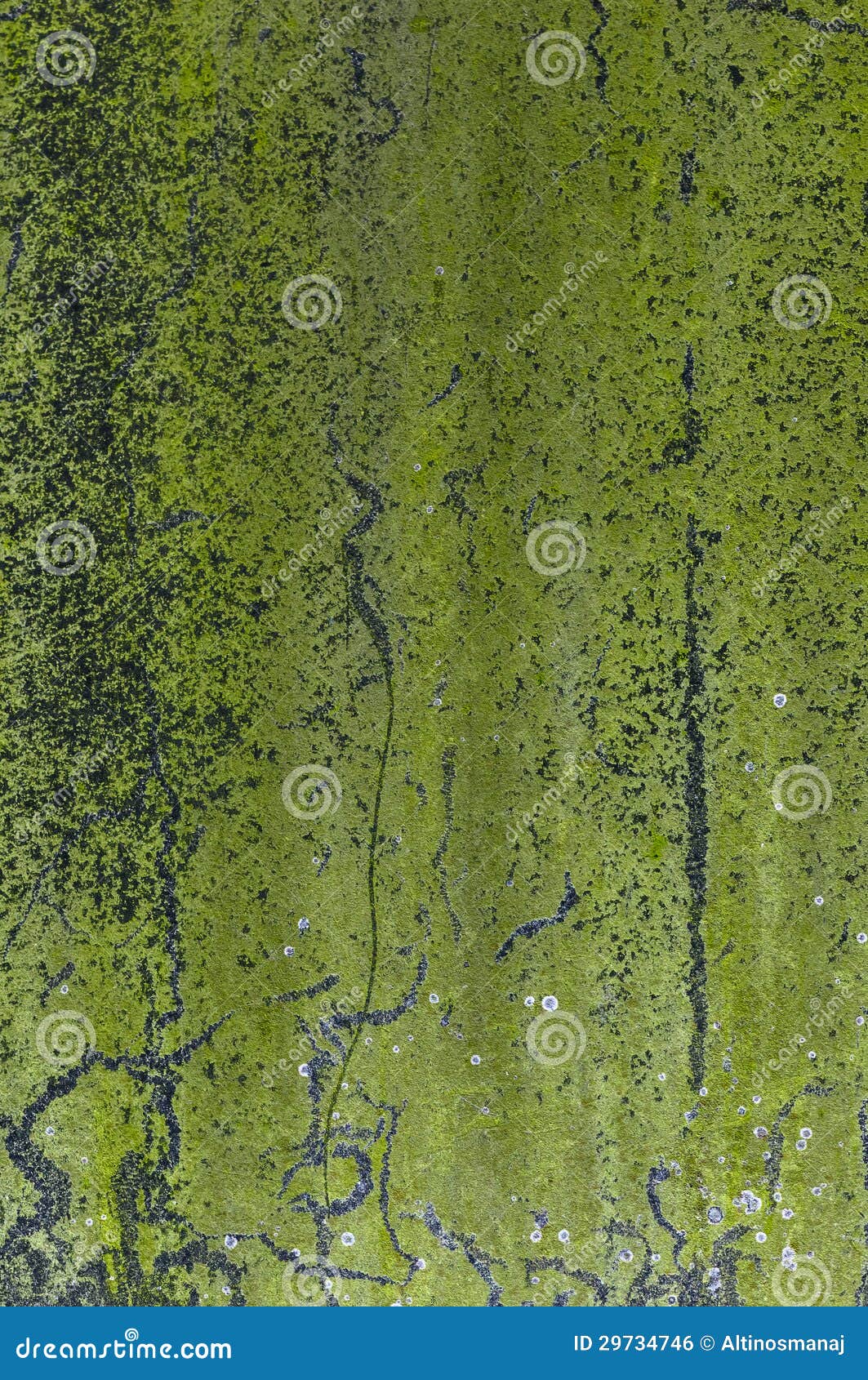 Green Moss texture stock photo. Image of material, background - 29734746