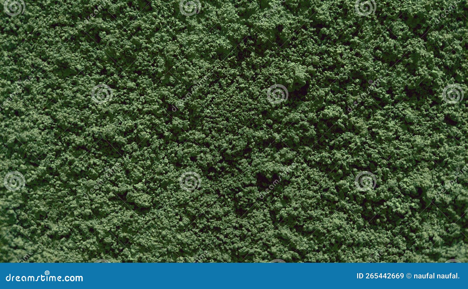 Green Moss on the Wall with Great Texture Ever Stock Image - Image of ...