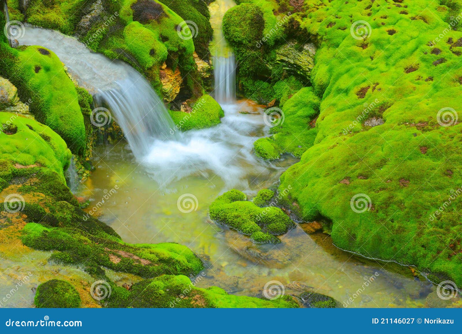 Green Moss with Water Stream Stock Image - Image of fresh, bracing ...