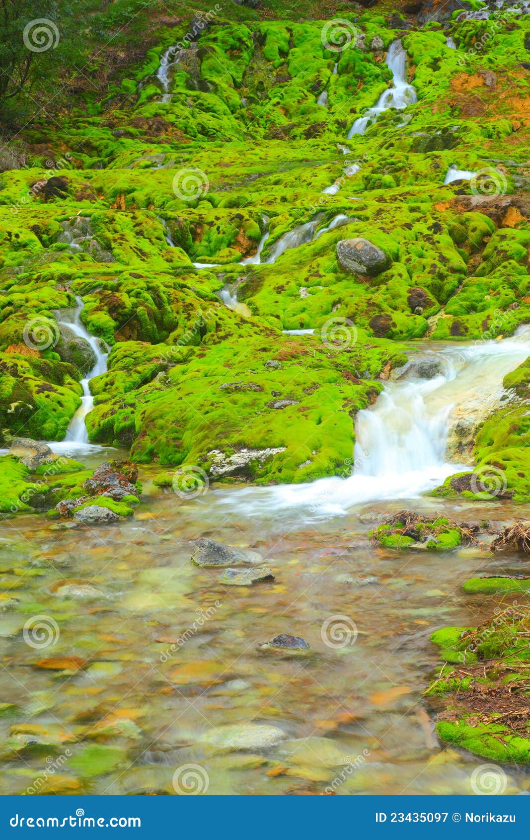 Green Moss with Water Stream Stock Image - Image of freshness, fall ...