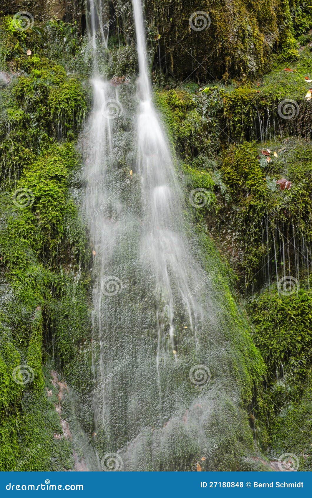 Green moss with waterfall stock photo. Image of waterfall - 27180848