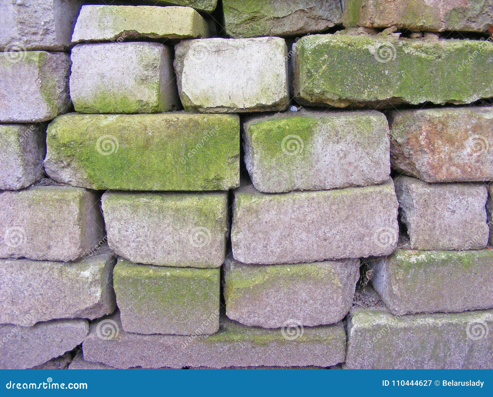 Green Moss on White Brick, Old Material Background Stock Image - Image ...