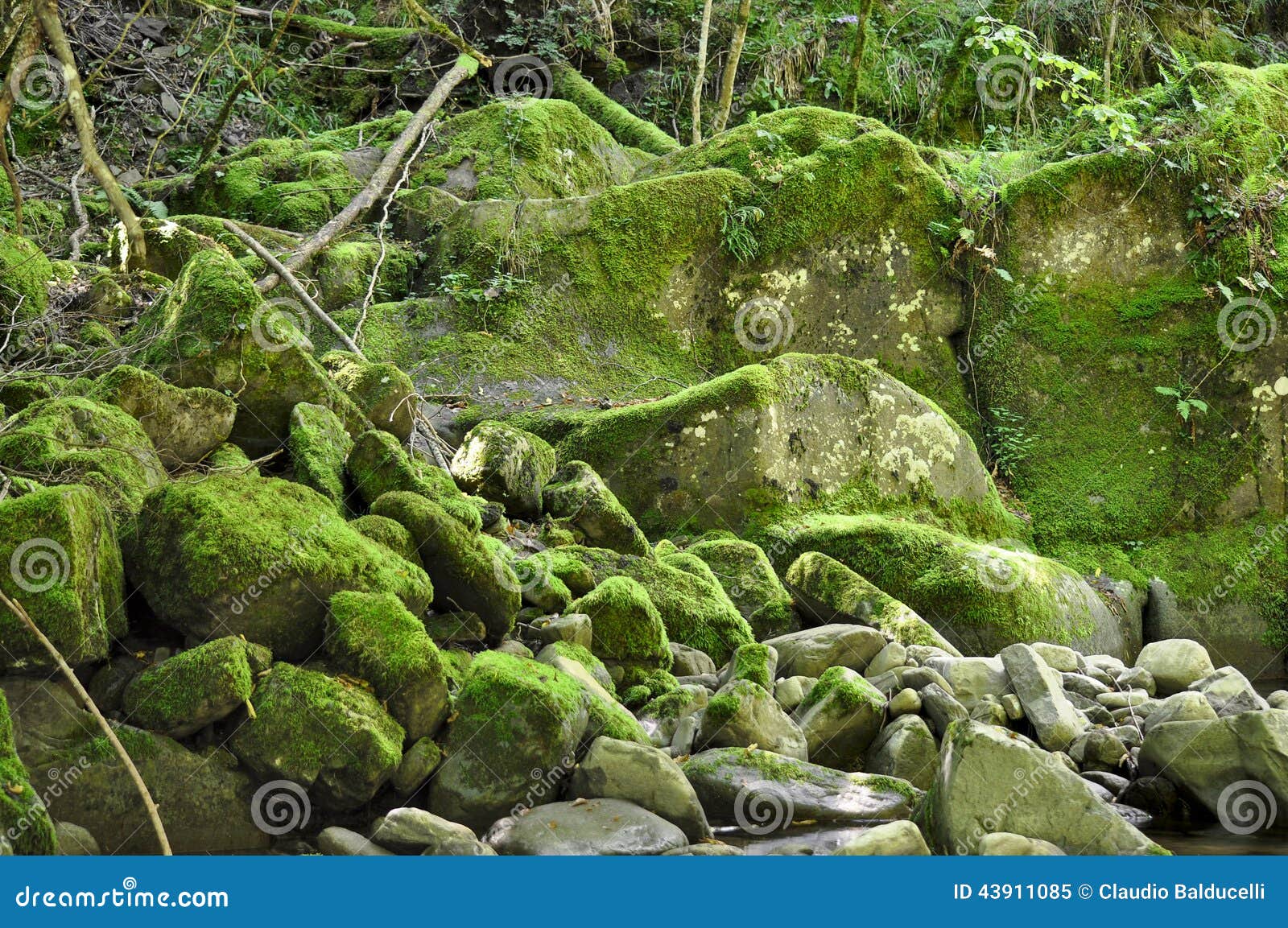 Green mossy stones stock image. Image of grunge, green - 43911085