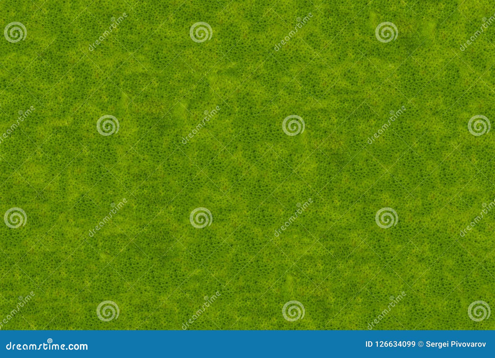 Green Mottled Background Abstract Pattern with Geometric Base Gradient ...