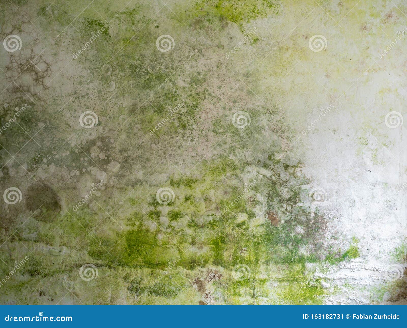 Mould Texture Stock Photos - Download 3,326 Royalty Free Photos