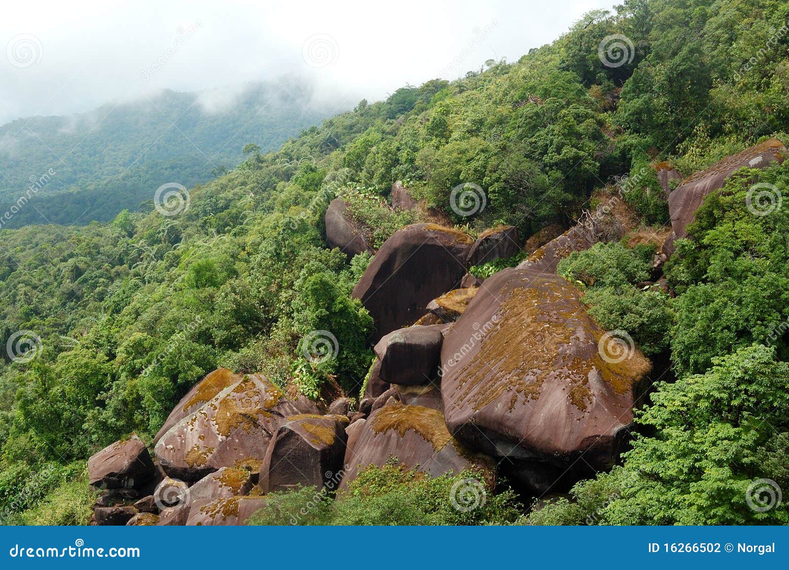 Green Mountain with Dark Brown Rock Stock Photo - Image of tree, stone ...