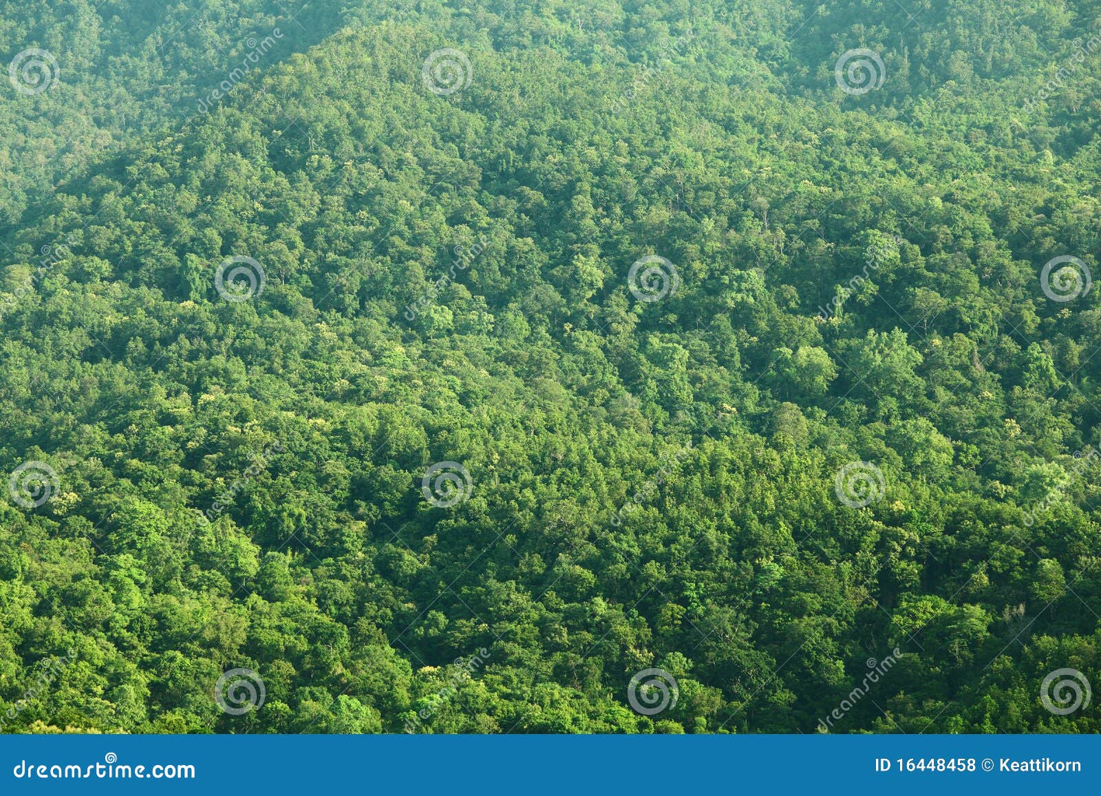 Green Mountain Forest View stock photo. Image of green - 16448458