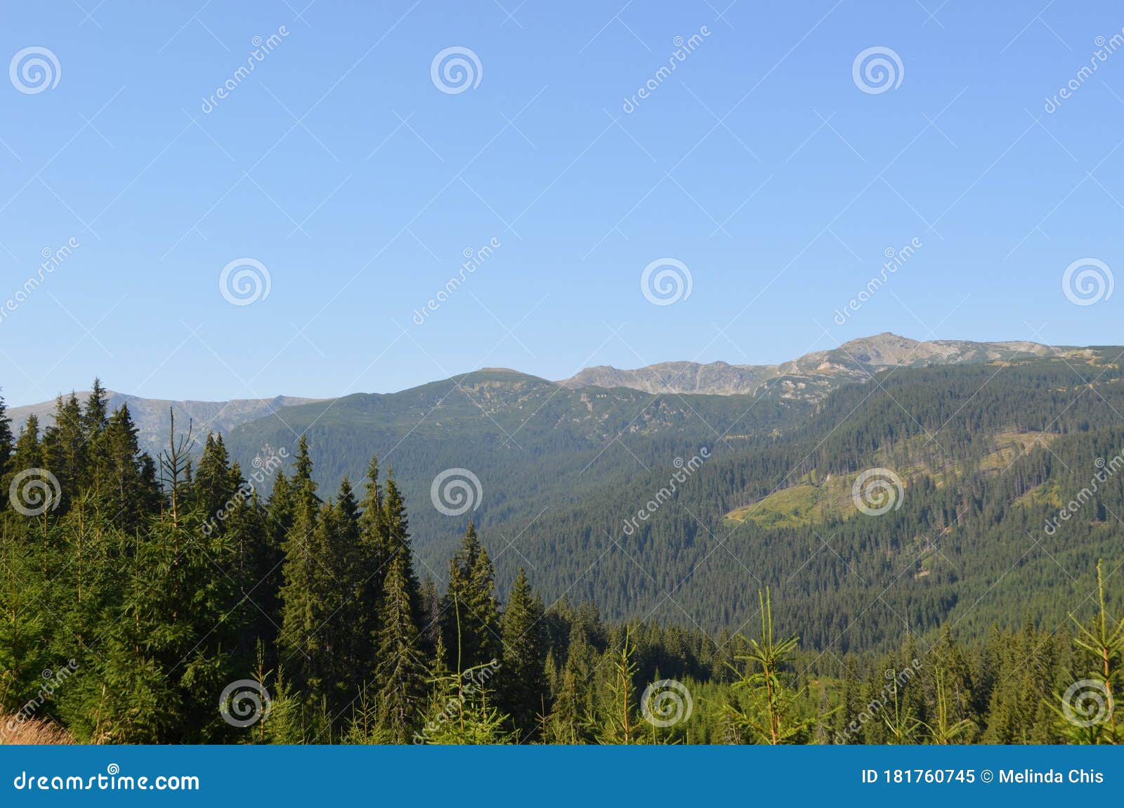 Miraje Stock Photos - Free & Royalty-Free Stock Photos from Dreamstime