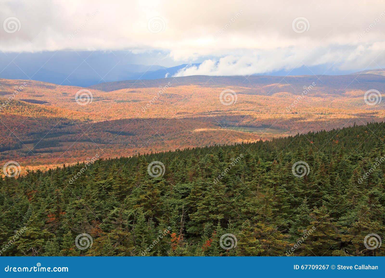 Green Mountain National Forest Autumn Stock Image - Image of shade ...