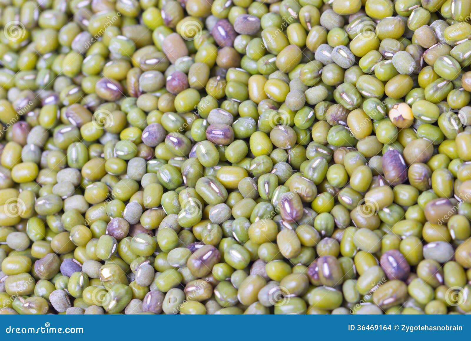 Green Mung Beans. stock photo. Image of food, diet, market - 36469164