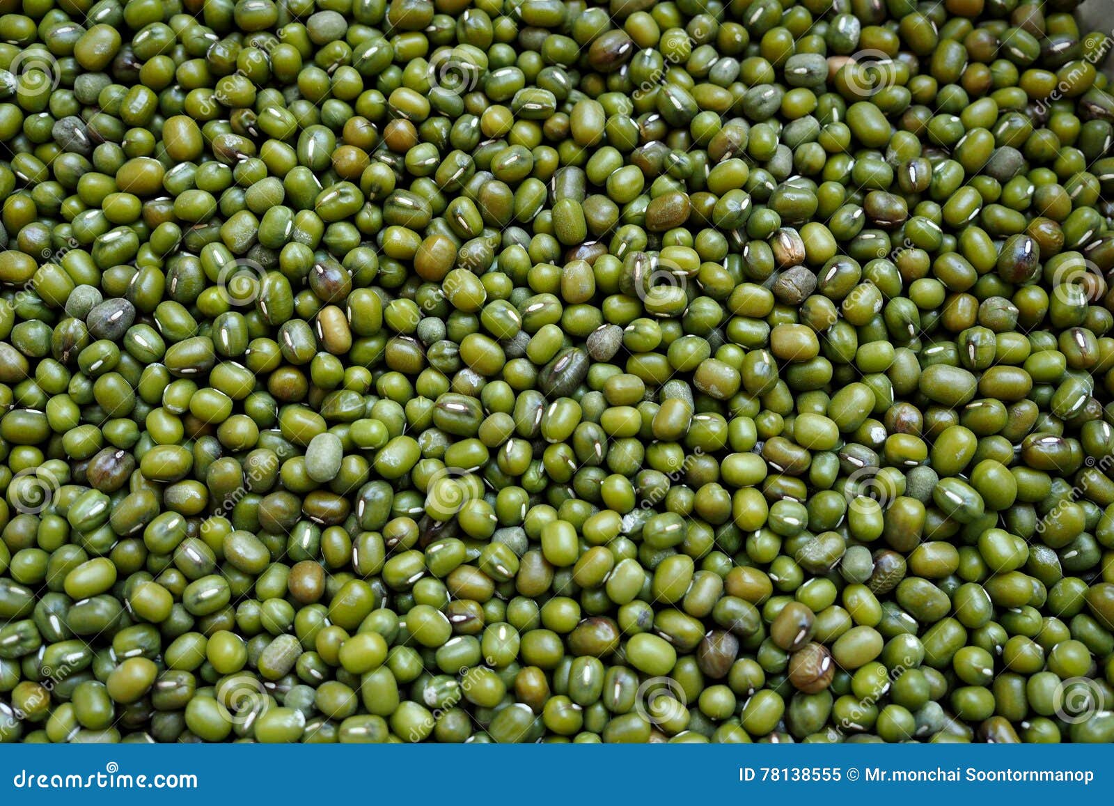 Green mung beans stock image. Image of vegetarian, background - 78138555