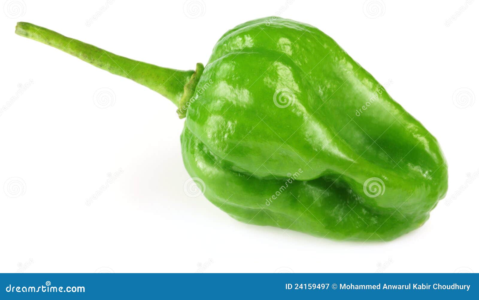 Green naga morich stock image. Image of background, chilli - 24159497