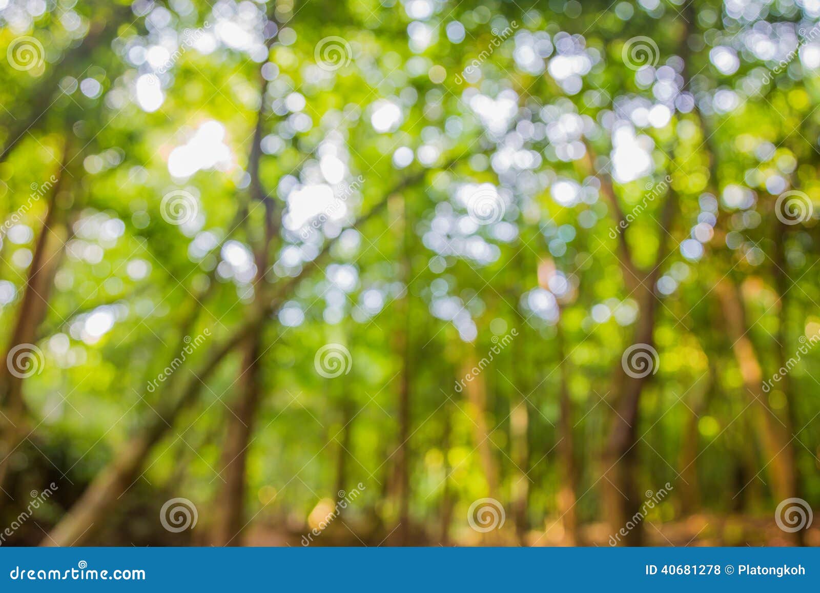Green Natural Background of Out of Focus Forest or Bokeh Stock Photo ...