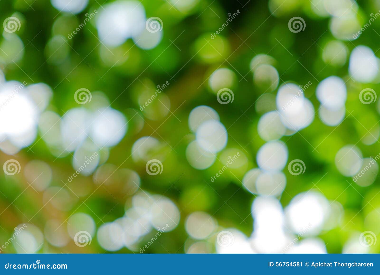 Green Natural Background Of Out Of Focus Tree Or Bokeh Stock Image ...