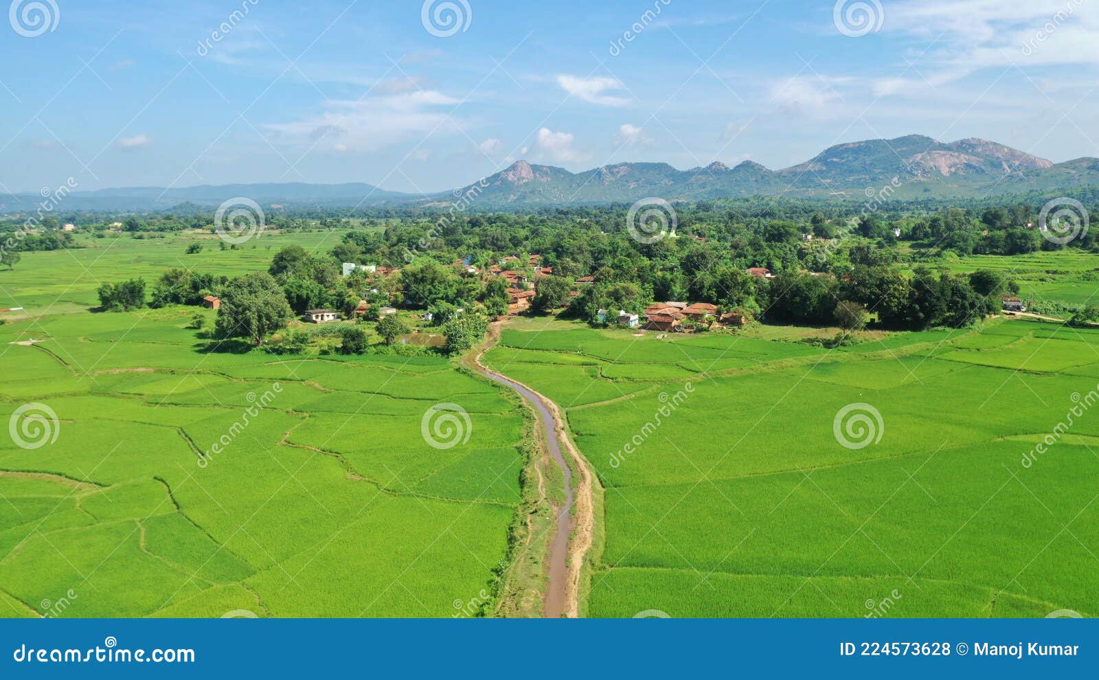 Peddy Field With Sky Stock Photo | CartoonDealer.com #178118136