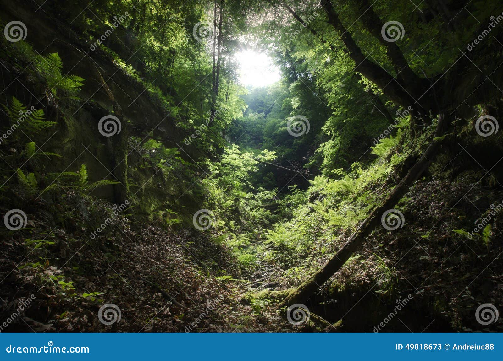 Natural Valley With Volcanic Tuff Stone Rocks In Goreme In Cappadocia ...