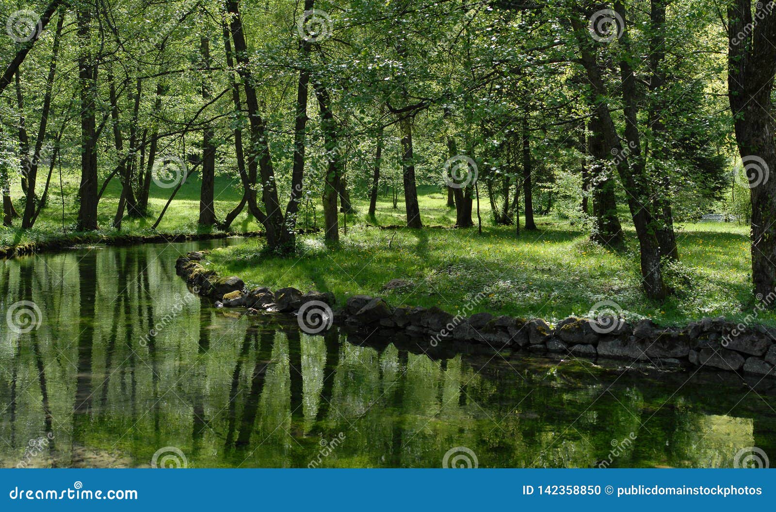 Green Nature Picture. Image: 142358850